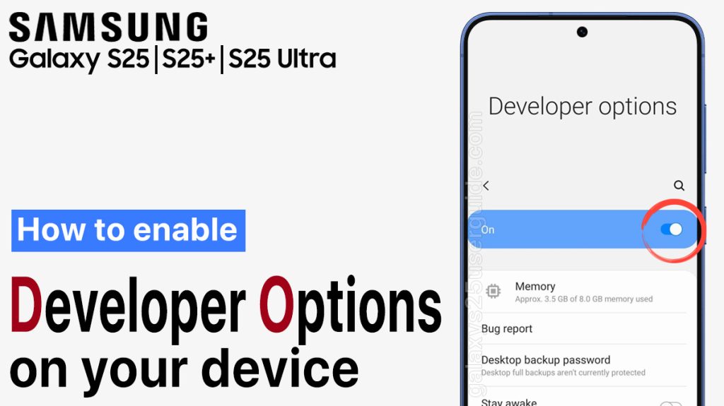 How to Enable Developer Options on Your Samsung Galaxy S25